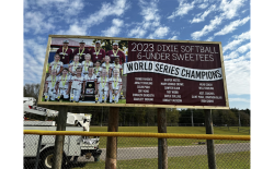 Dixie Softball > Home